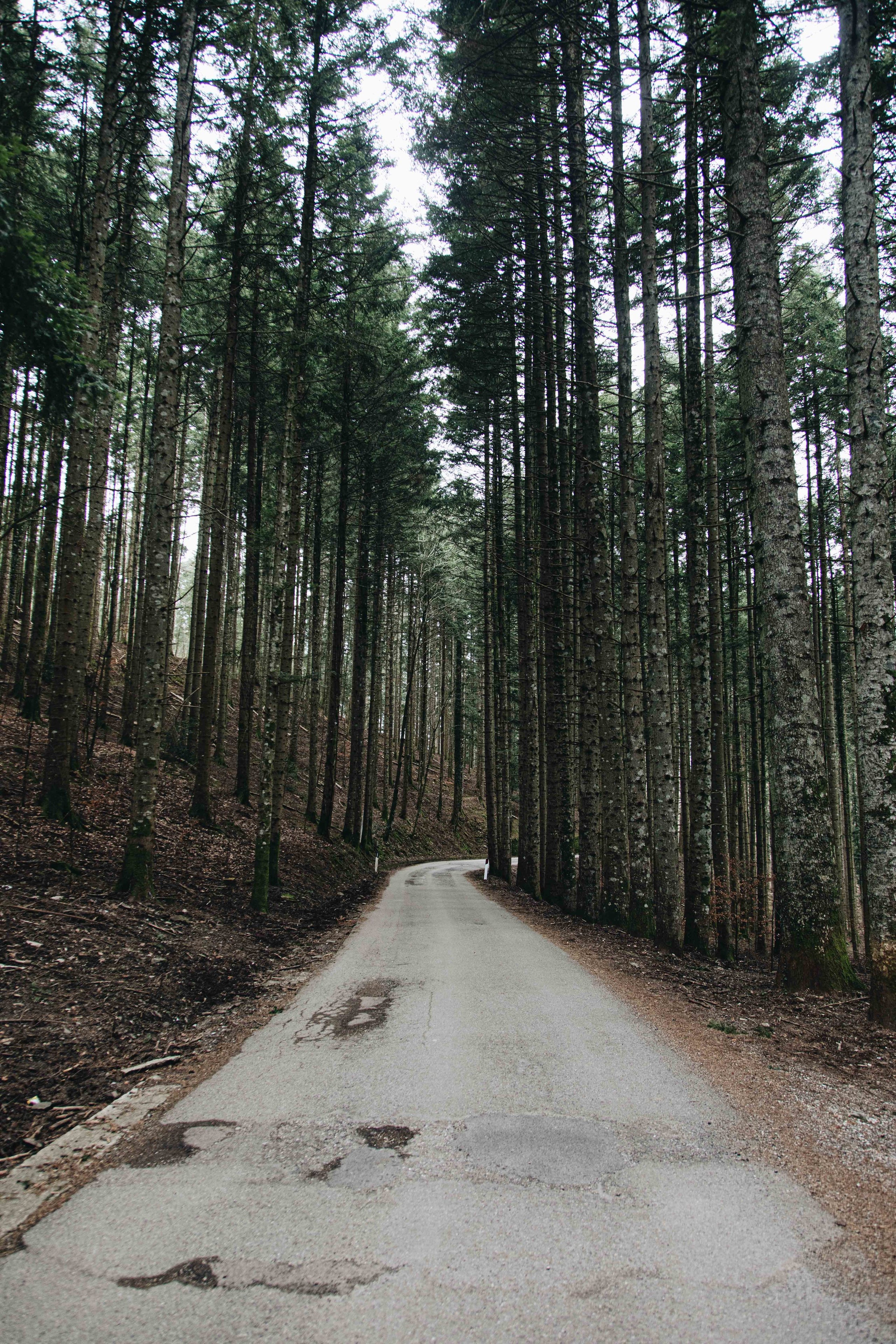 About Us – Backroads Coffee